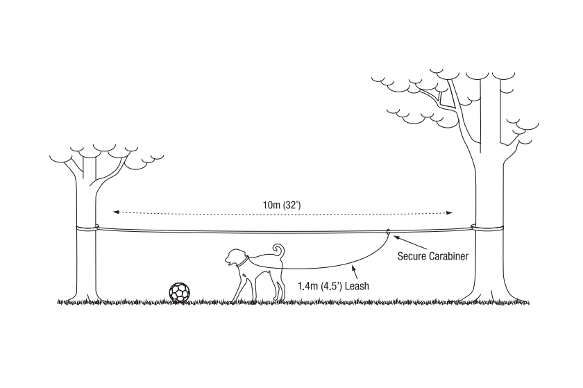Pet Tethering System – 4x4extrasonline